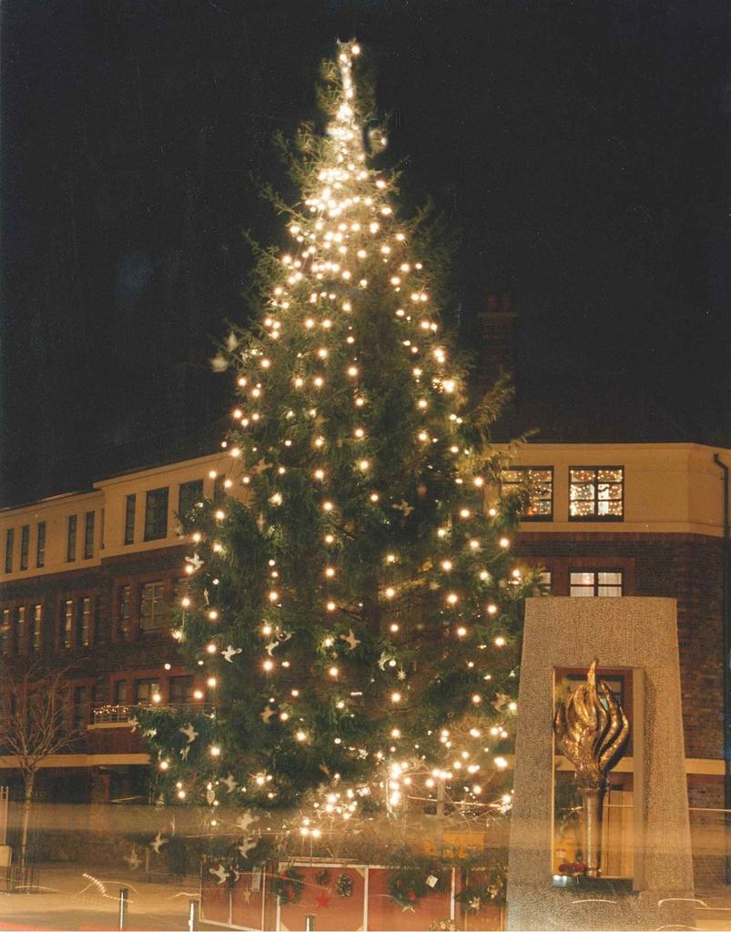 Annual Lighting of the Christmas Tree Dedicated to Fergus McCabe ...